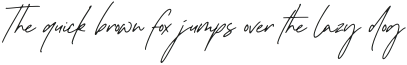 Autographer Handwritten Script Font
