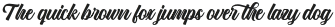 Milton Script | Creative Market