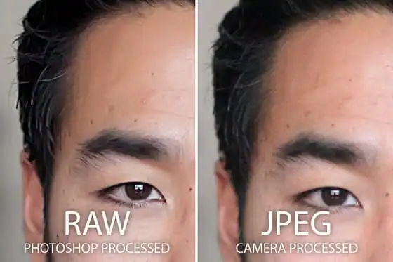 Graphic Formats Explained - Creative Market Blog