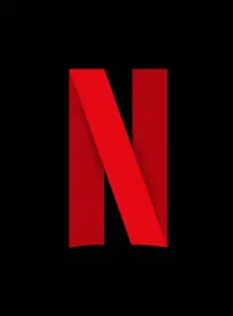 Bad or Rad: Netflix's New Icon - Creative Market Blog