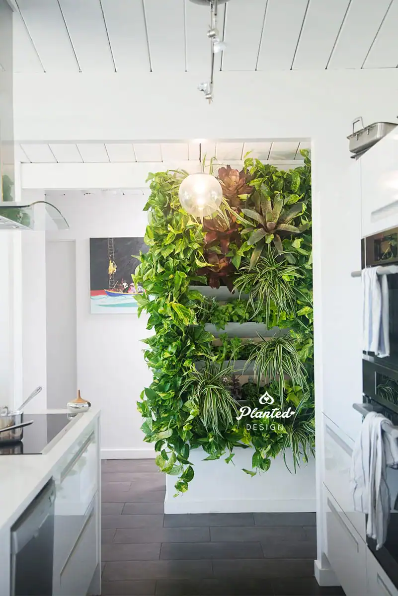 10 Stunning Green Walls That Make A Space Come Alive - Creative Market Blog