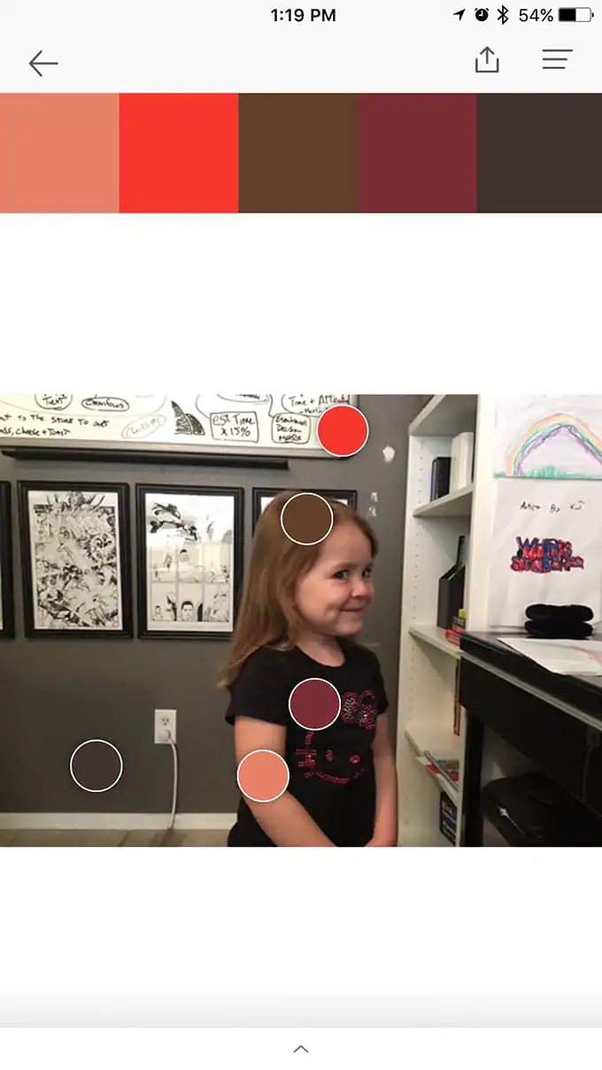 Turn Your Pictures Into Color Palettes with Pantone's New App ...