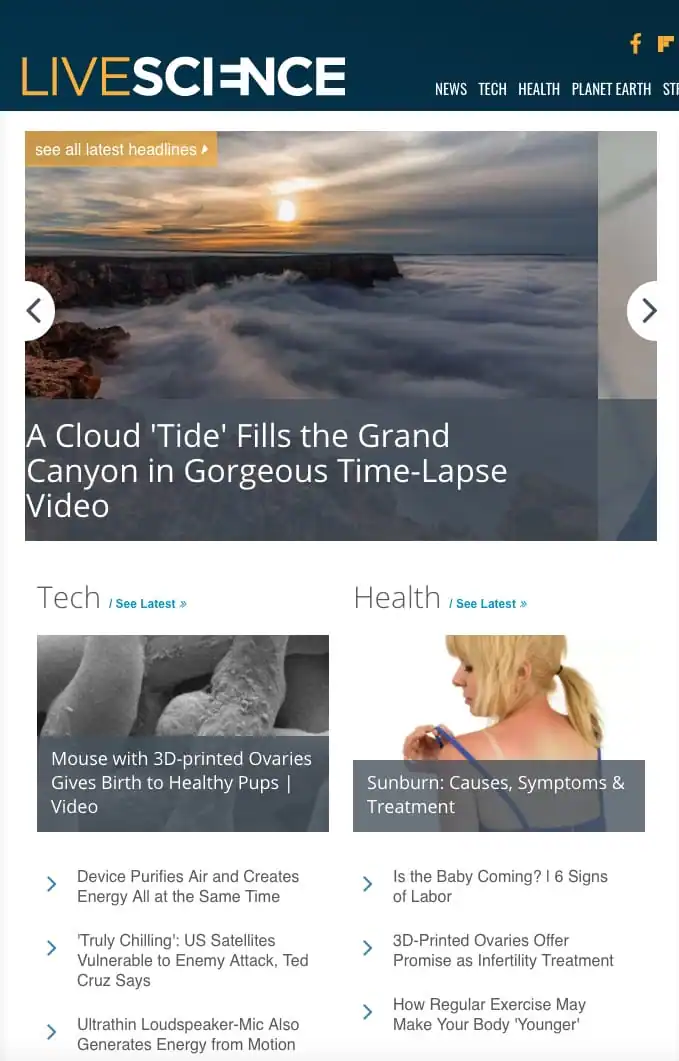 Blog Branding: 10 Inspiring Examples - Creative Market Blog