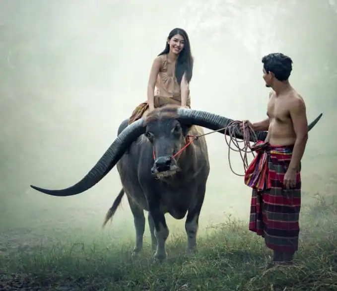 How to Select Stock Photos That Look Unique and Authentic - Creative ...