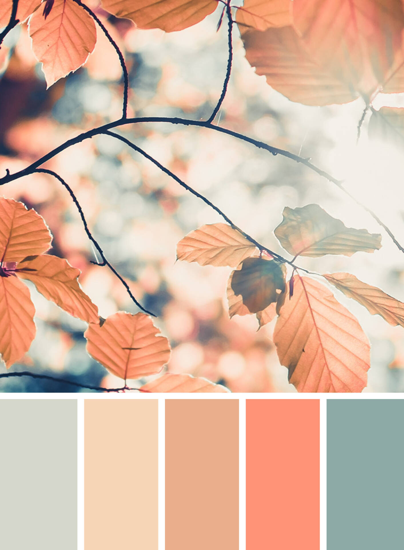 15 Downloadable Color Palettes For Fall - Creative Market Blog