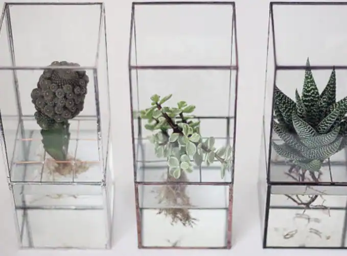 Design Trend Report: Botanical and Organic Design - Creative Market Blog