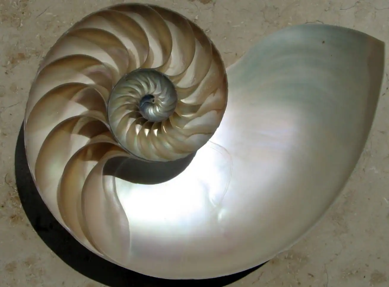 Exploring Design Styles: Fractal Art - Creative Market Blog