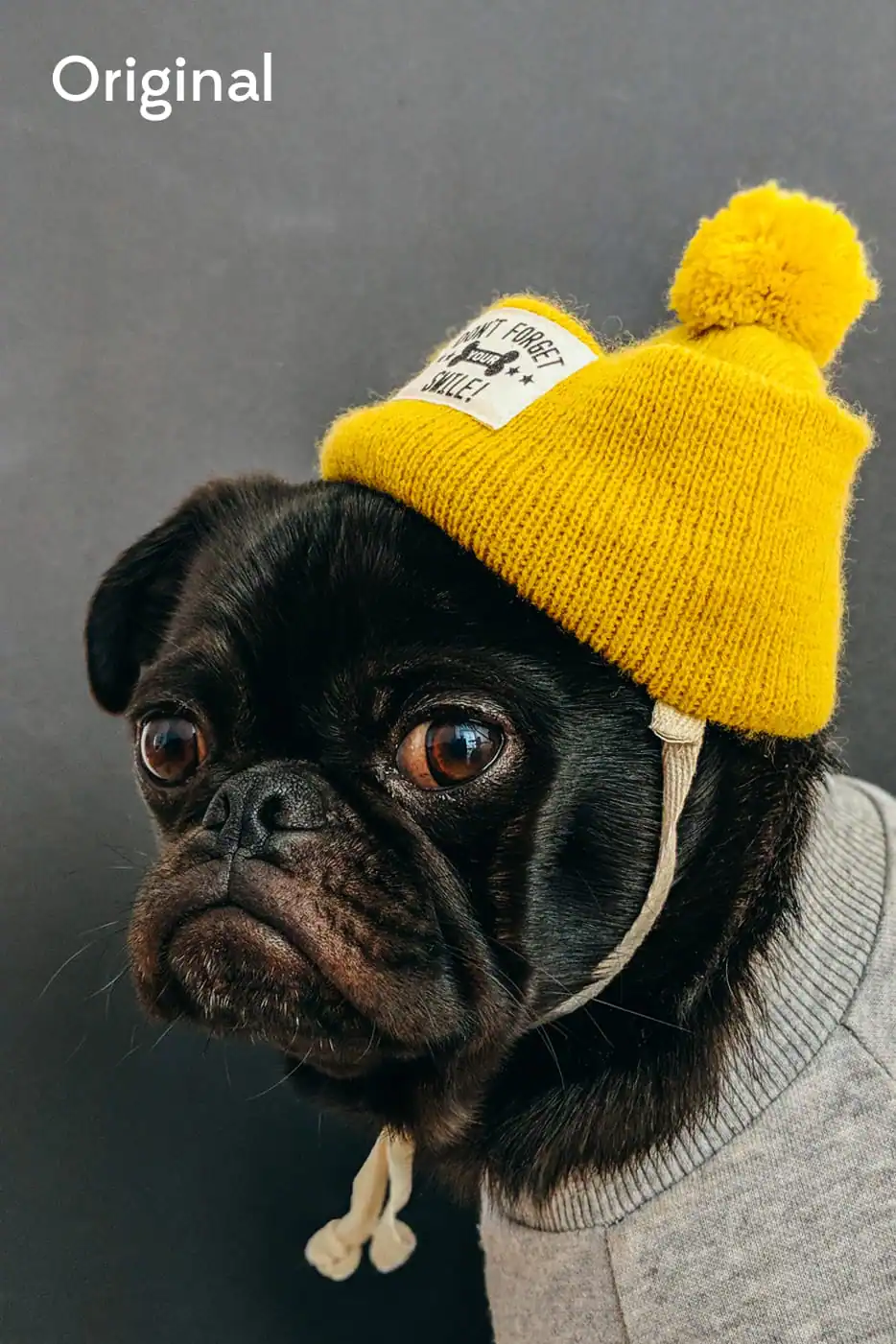 How to Create That Vintage 70s Film Camera Look - Creative Market Blog