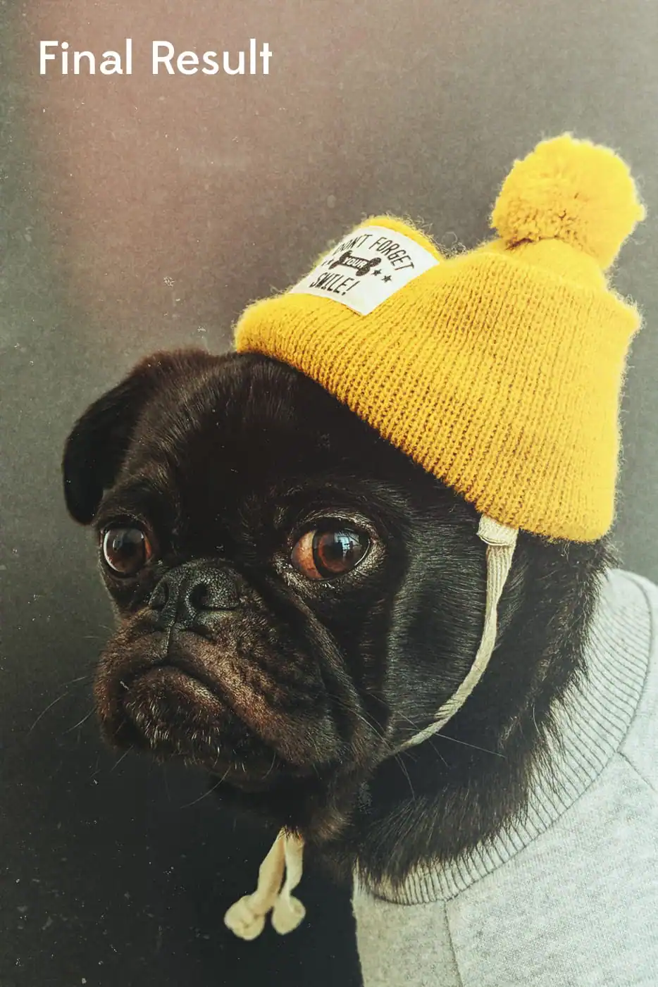 How to Create That Vintage 70s Film Camera Look - Creative Market Blog