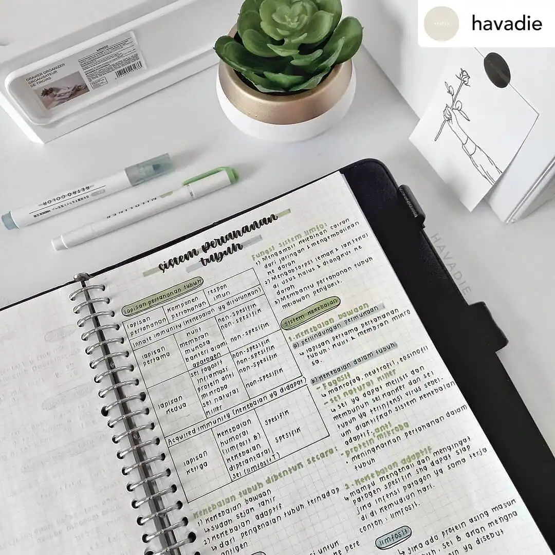 10 Creatives with Amazing Handwriting Instagram Accounts for a Daily ...