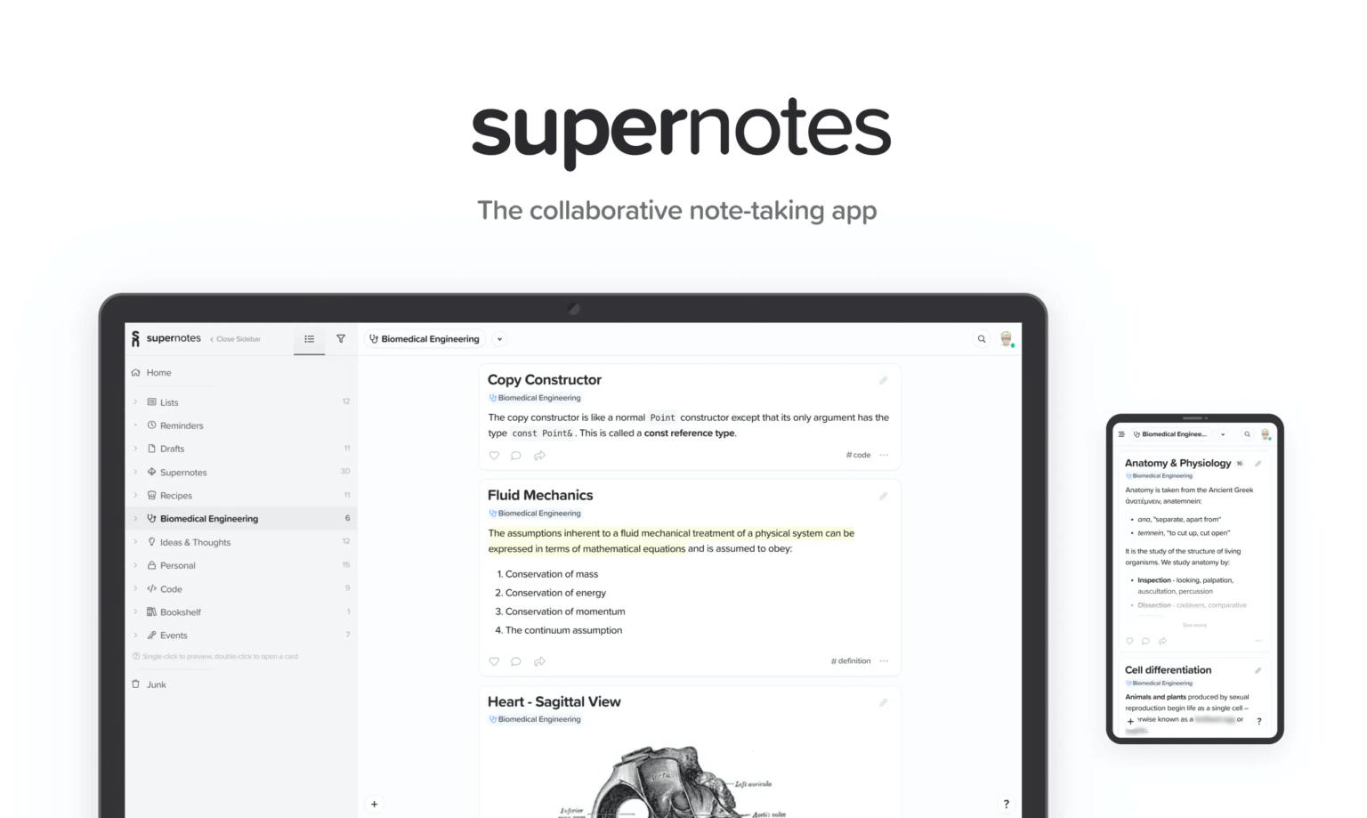 11 Well-Designed Notes App Choices for Creatives - Creative Market Blog