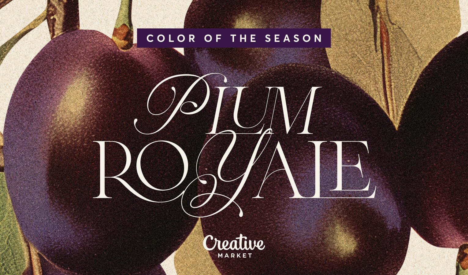 Introducing Our Color of the Season: Plum Royale - Creative Market Blog