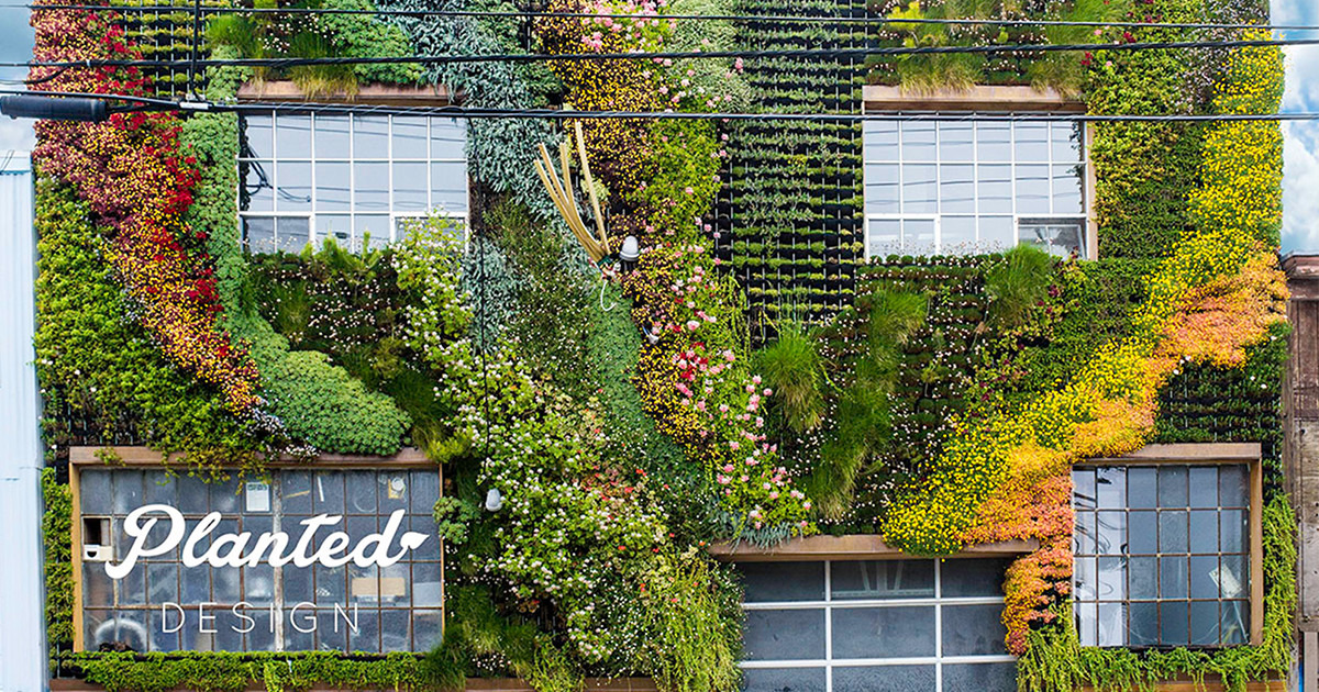 10 Stunning Green Walls That Make A Space Come Alive - Creative Market Blog