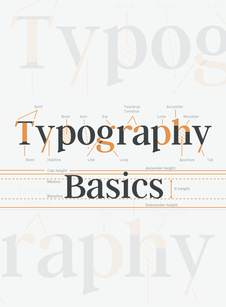 Free Typography Basics Cheatsheet: Anatomy, Classification & Special ...